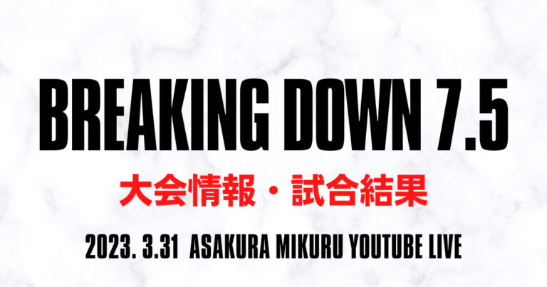 【ブレイキングダウン7.5】試合結果速報、対戦カード、出場選手